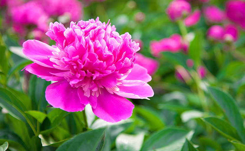 国内旅游推荐_国内旅游报价_国内游_桂林国旅官网